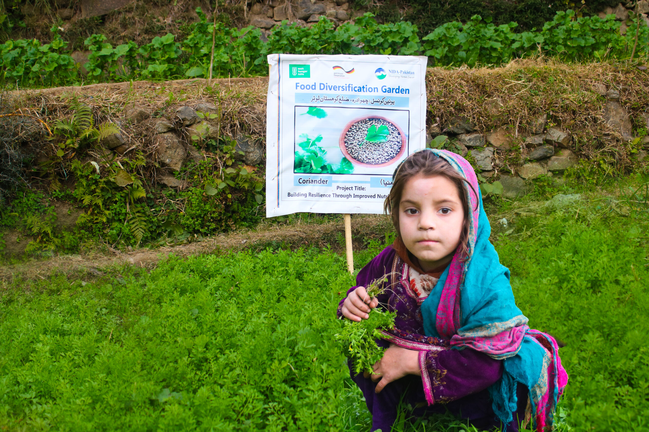 NIDA- Homepage - NIDA-Pakistan